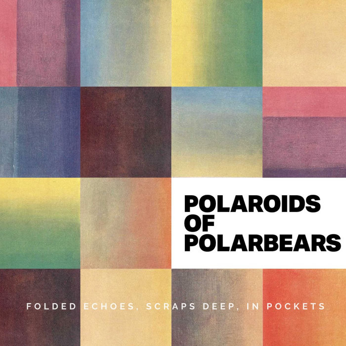 folded echoes, scraps deep, in pockets | Polaroids of Polarbears
