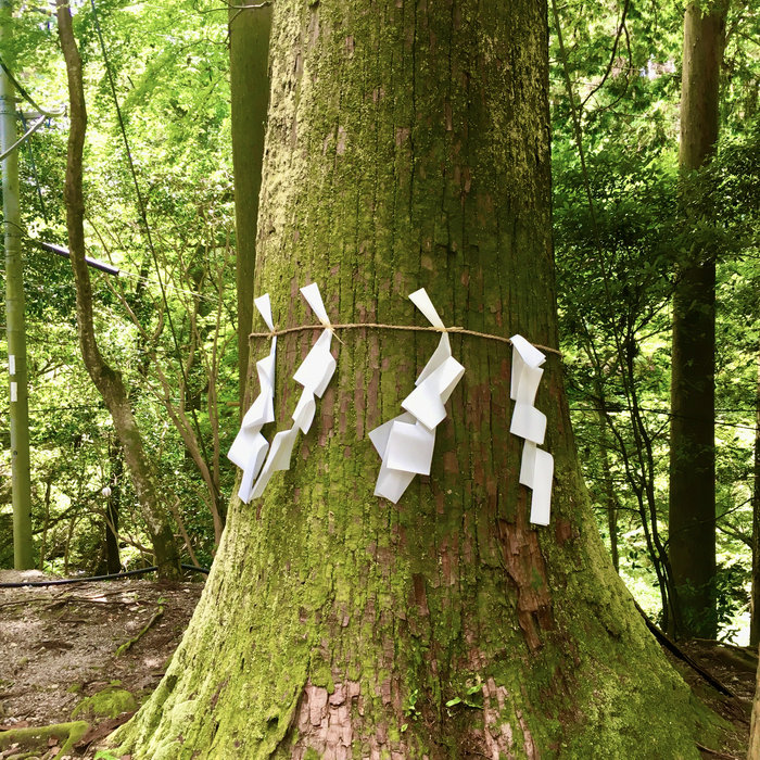 2020 | E. ARAMAKI | Eiji Aramaki