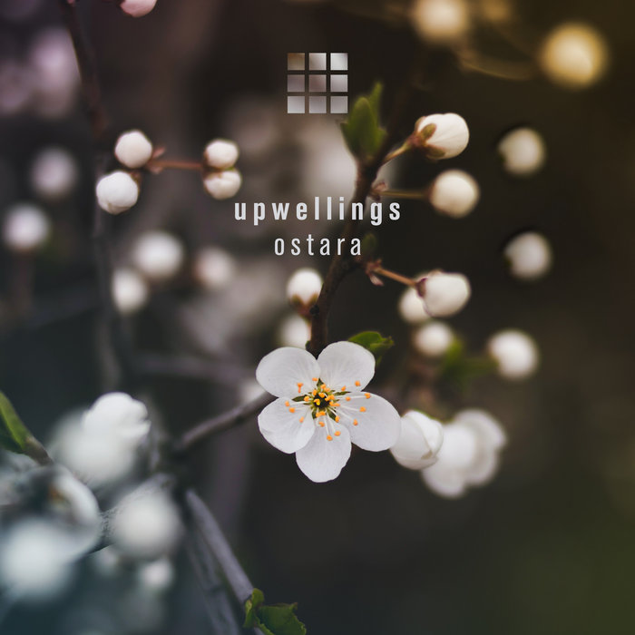 'Ostara' incl.Bluetrain remix (MOSAIC DTL03) | Upwellings | Steve O ...