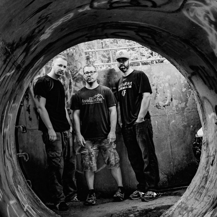 Bean | Signal Driver