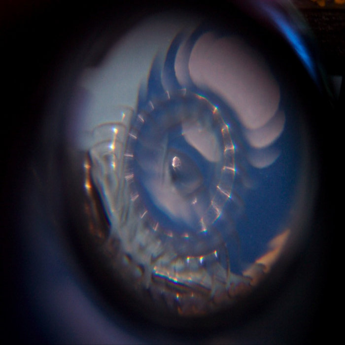 Cerulean Spring | Liminal People