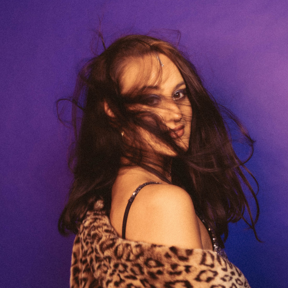 Theory and Routine | Ovarius