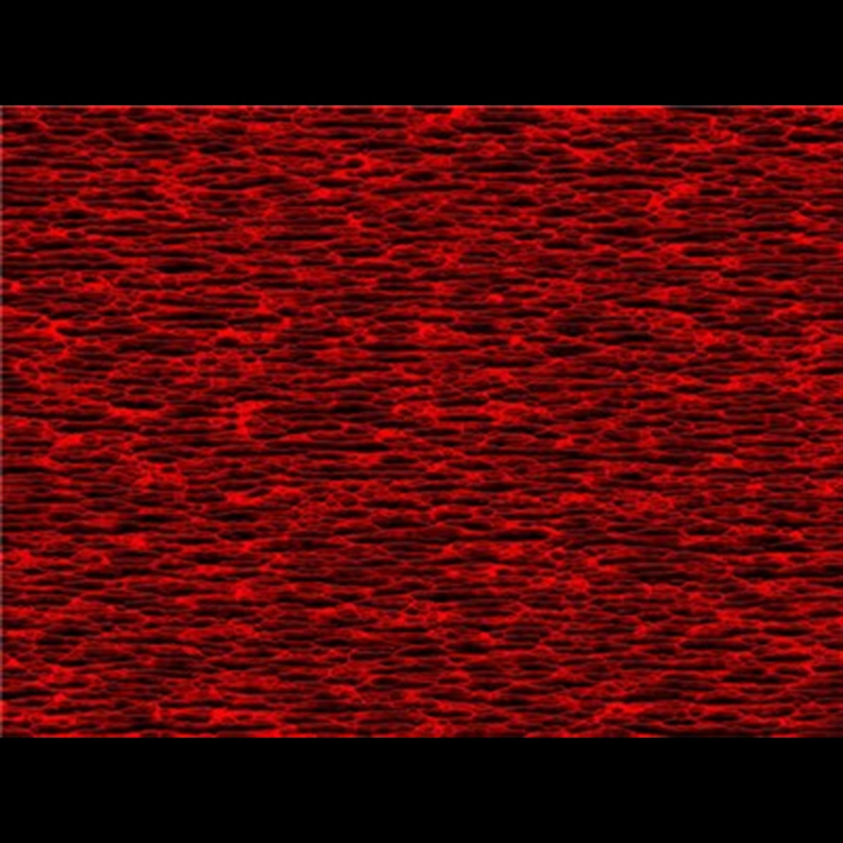 River Of Blood Through The Vatican Causes Mass Panic | Old Cellar
