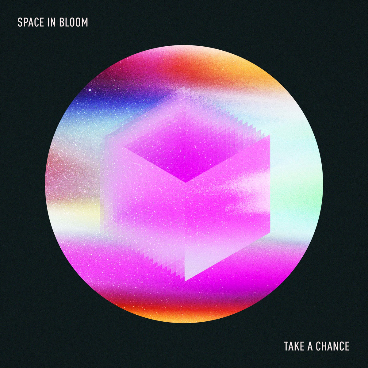 Take a Chance | Space in Bloom