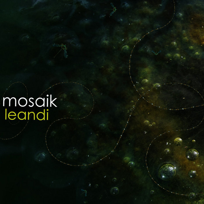 Leandi | Mosaik