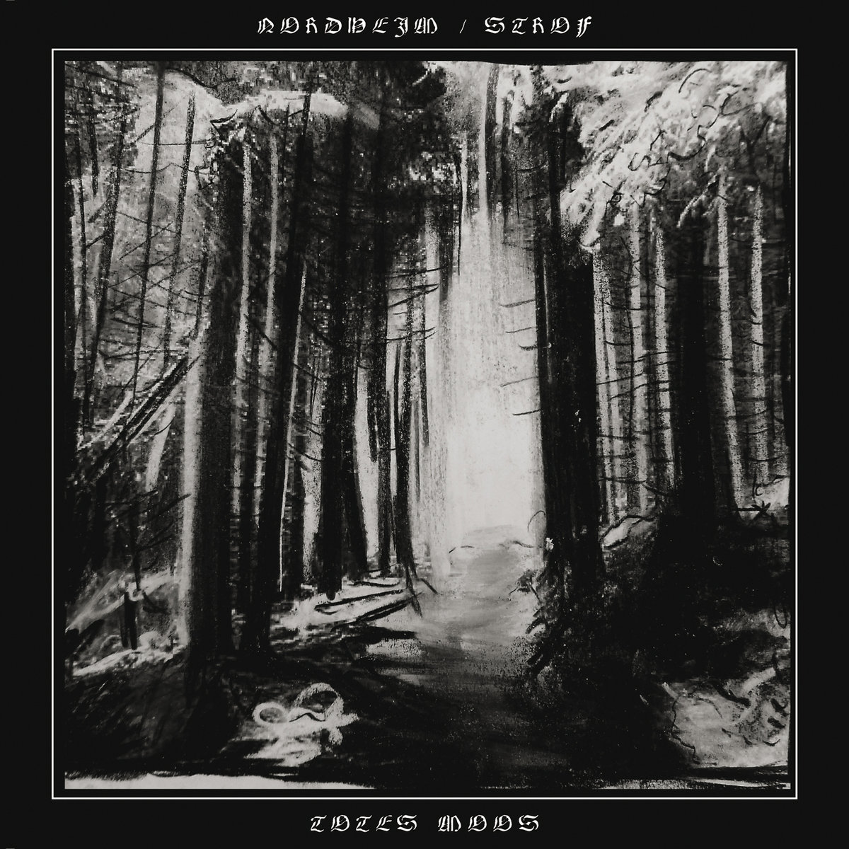 Totes Moos | NORDHEIM