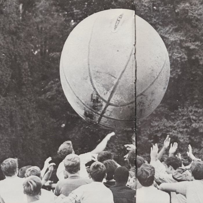 Ribbon Factory | Honey Radar