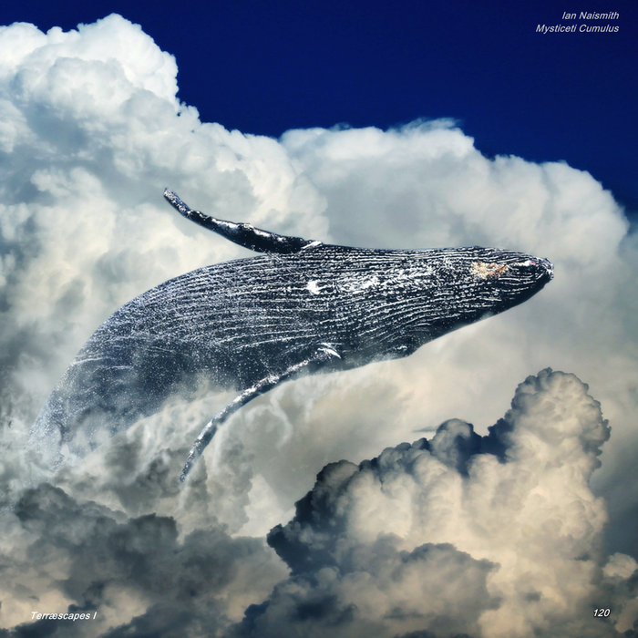 Mysticeti Cumulus (Terræscapes I) | Ian Naismith