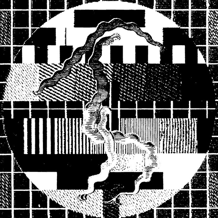 Model Collapse | Sully