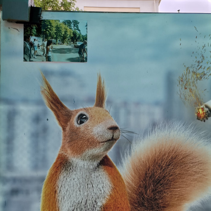 squirrel on a new wave | noskovsolegs | Generic Trance