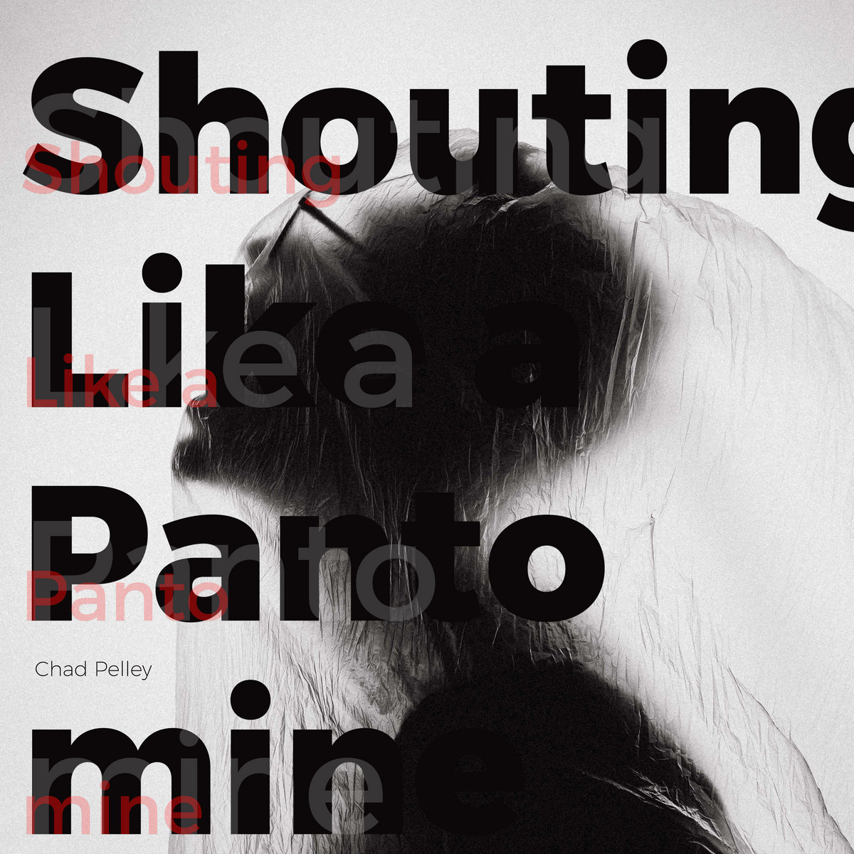 Shouting Like a Pantomine | Chad Pelley