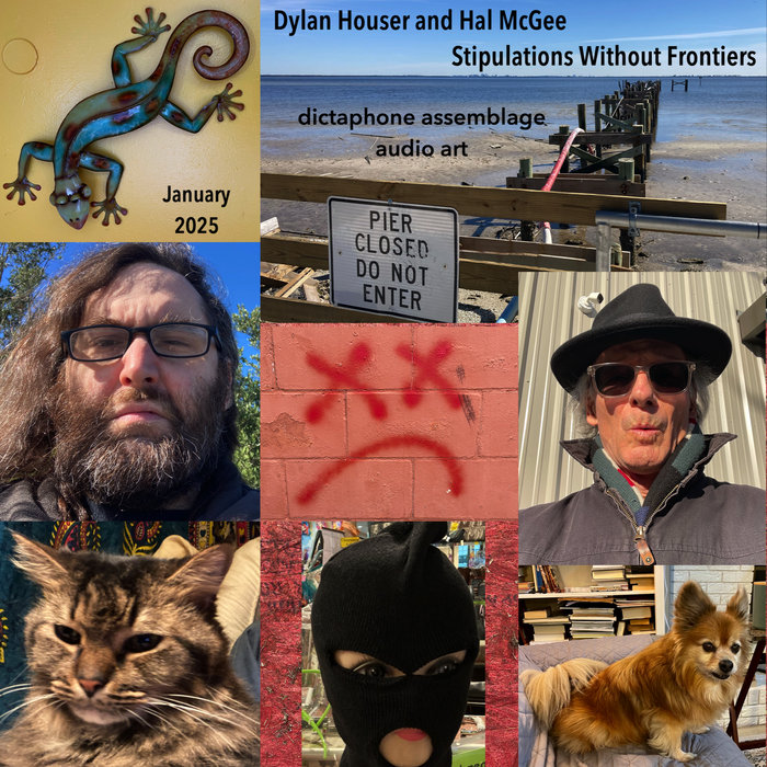 Stipulations Without Frontiers | Dylan Houser and Hal McGee | Hal McGee
