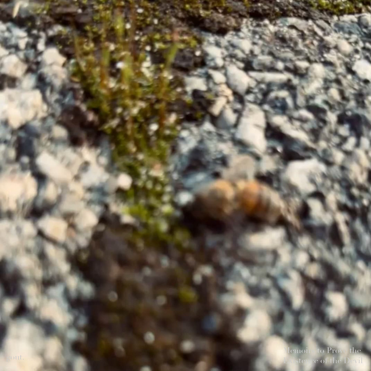 Memoirs to Prove the Existence of the Devil | gout. | Muteant Sounds ...