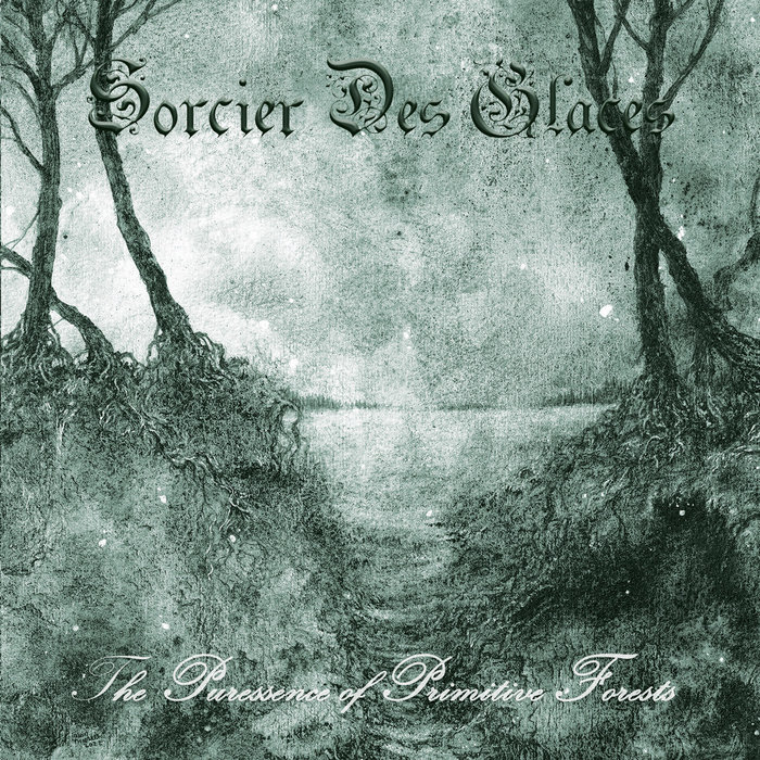 The Puressence of Primitive Forests | SORCIER DES GLACES | Osmose ...