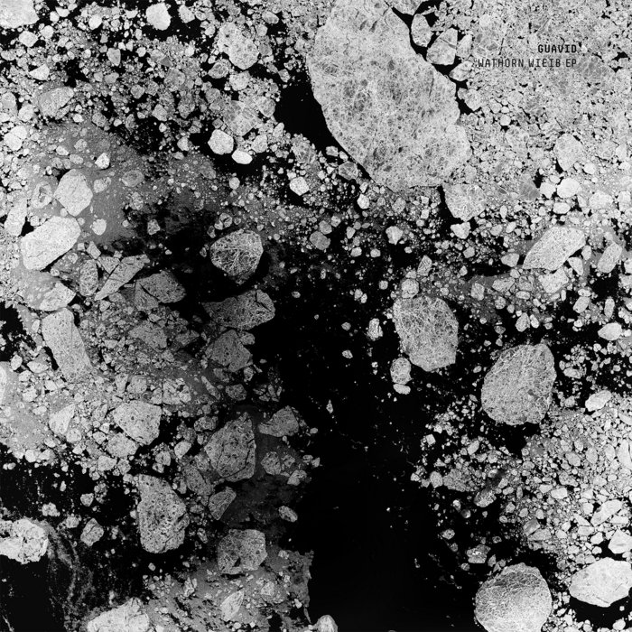 [AF009] Wathorn Wieib EP | Guavid | Analogical Force