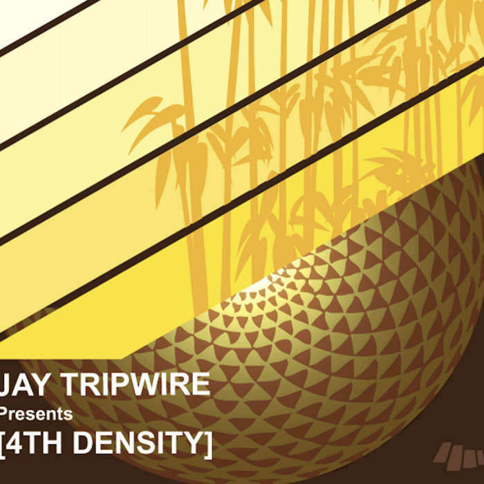 Jay Tripwire Presents '4th Density' | Seasons Recordings