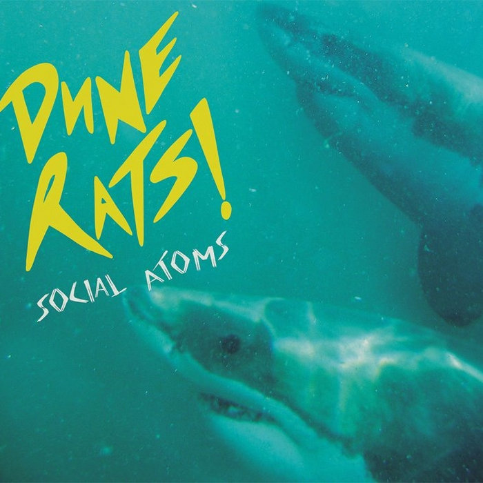 Social Atoms | DUNE RATS