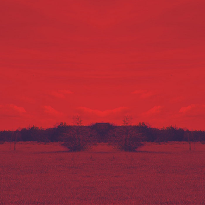 Drone 81 | James Parrott