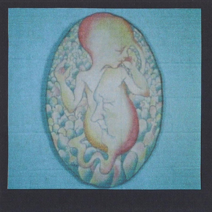 Gonk est Mort | The Golden Gonk | Corn on the Cob Music & Shack in the ...