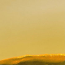 Empty Air Collection | Matthew Reeder