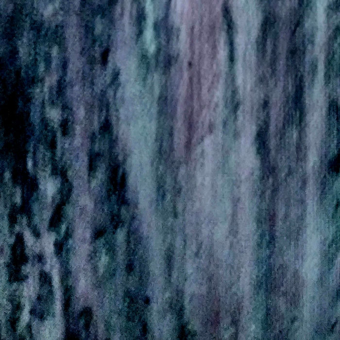 trees | Sentient Moons