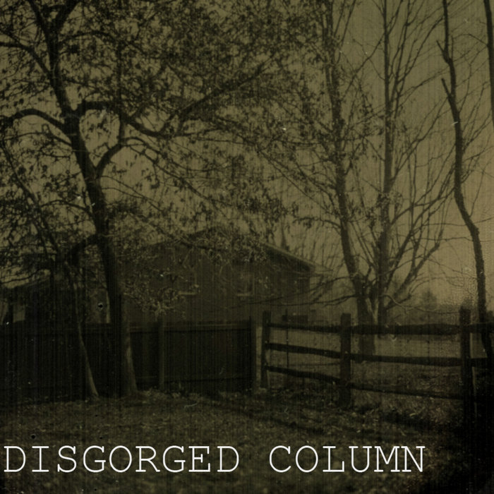 Disgorged Column | Disgorged Faeces / Sleep Column | Disgorged Faeces