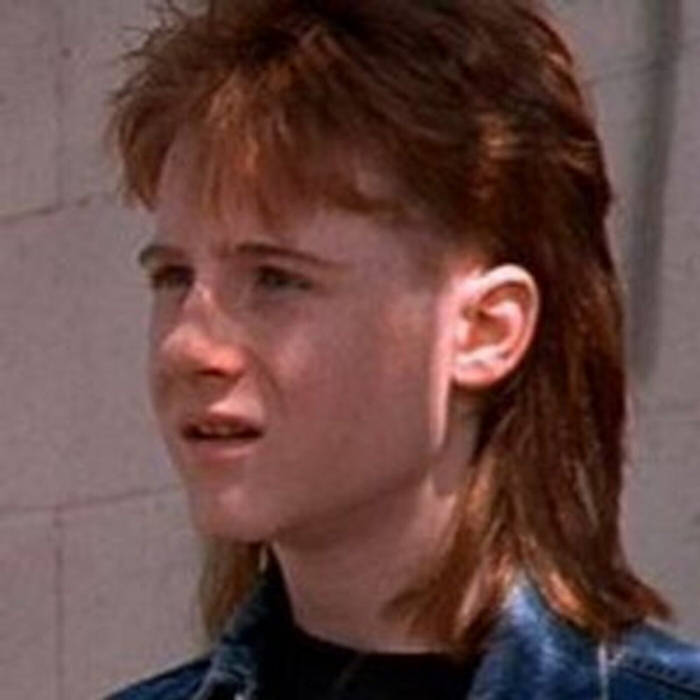 Salute Your Shorts Budnick