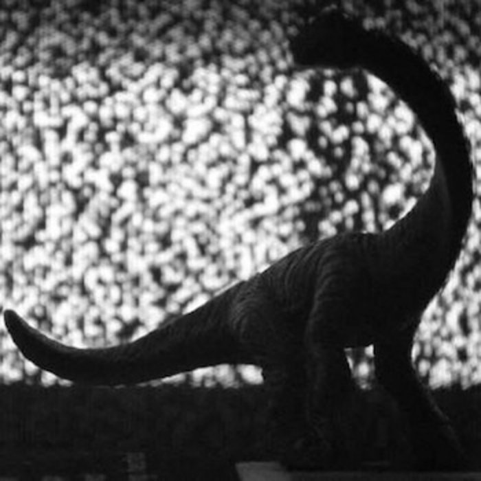 First Handshake in Space | Diplodocus