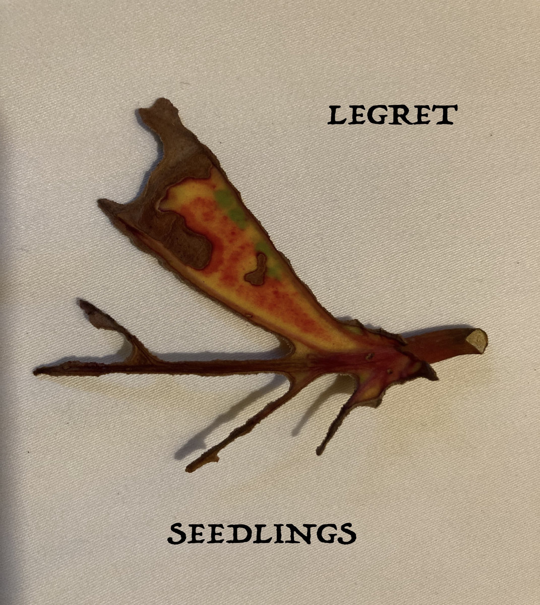 Seedlings | Legret