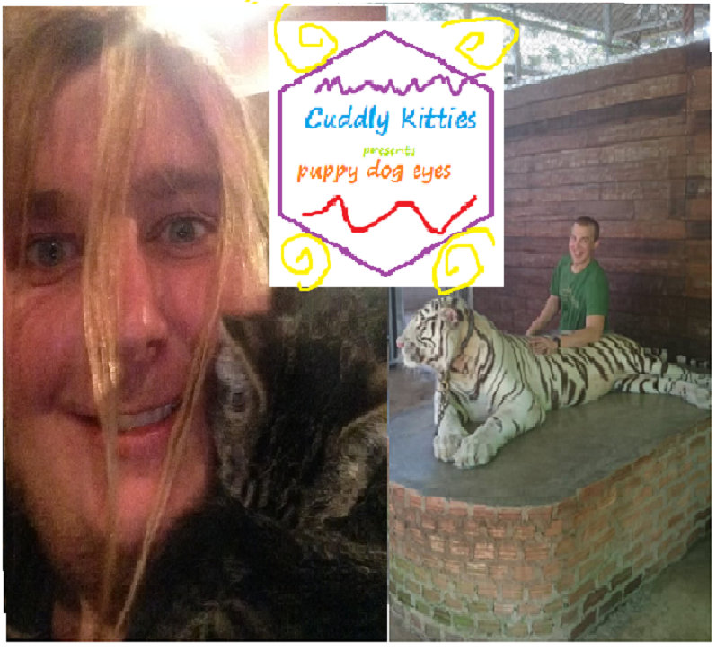 puppy dog eyes | Seth Bower, Calvin Stover | cuddly kitties