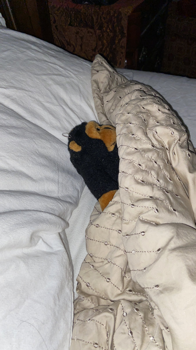 Violet Dreams | Alec Venida