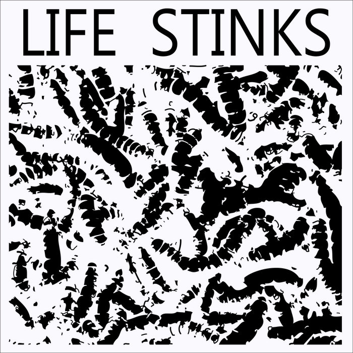 Shadow On The Wall 7" | LIFE STINKS | Total Punk Records