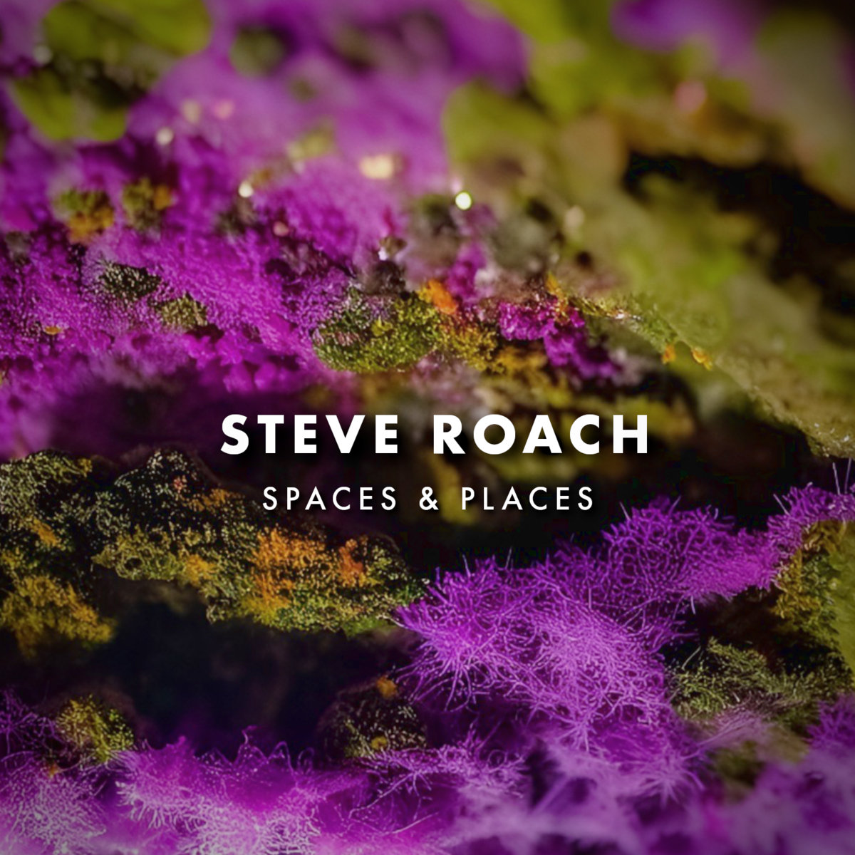 Spaces & Places - Exclusive | Steve Roach Exclusive