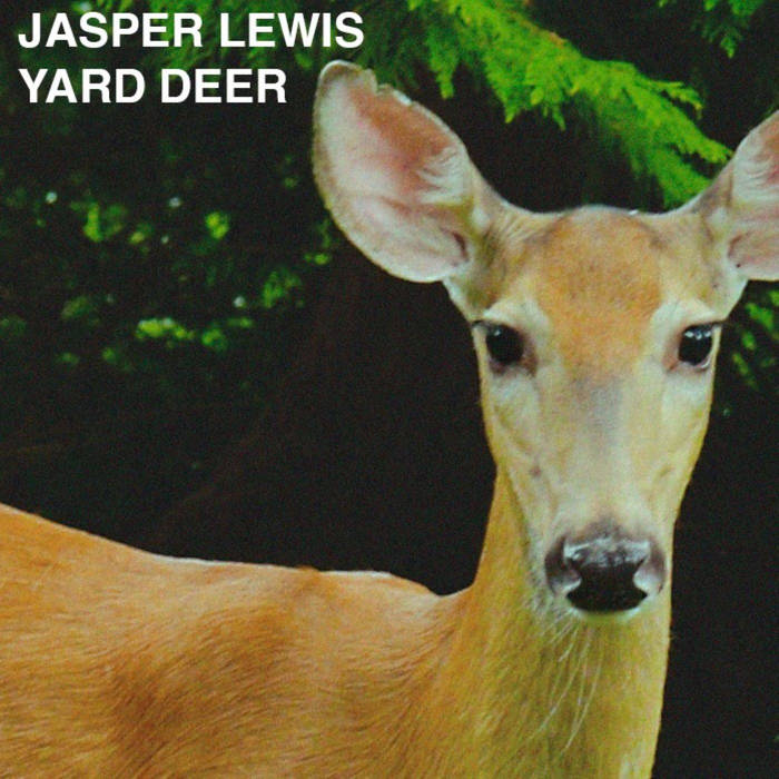 Yard Deer | Jasper Lewis