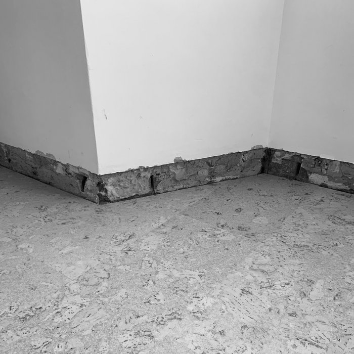 Moonpong | Intergalactic Sue | Petrobuzz Records