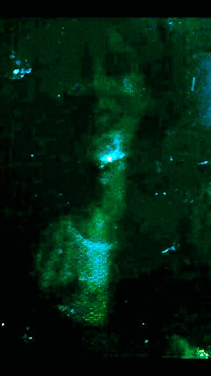 GHOST PHOTOGRAPHY | REPRESSED MEMORY