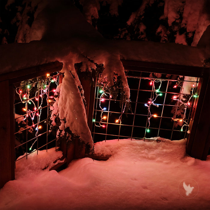 The Ghost Of Christmas Passed | Passed Recordings