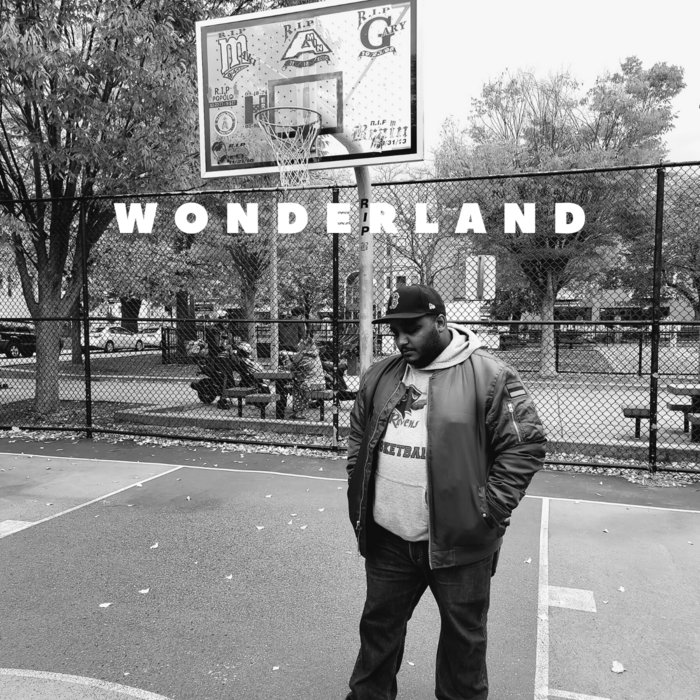Wonderland | Paul Willis