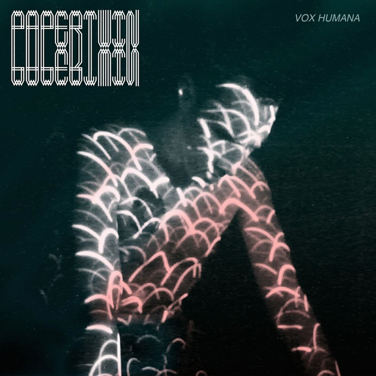 Vox Humana | Papertwin