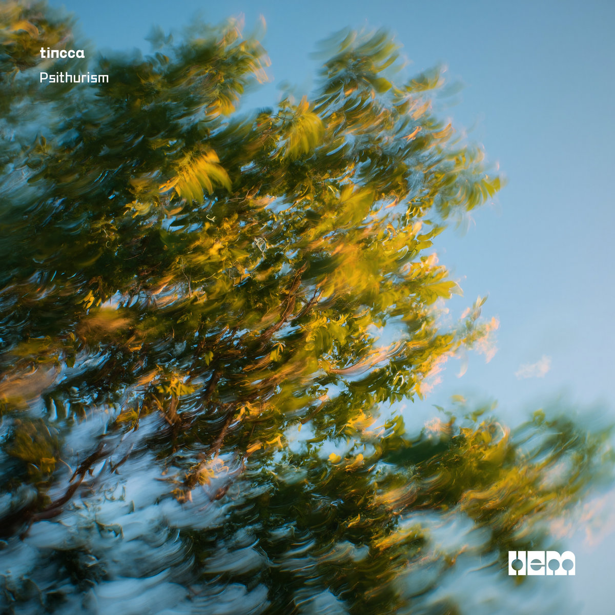 Psithurism | tincca | HEM Records