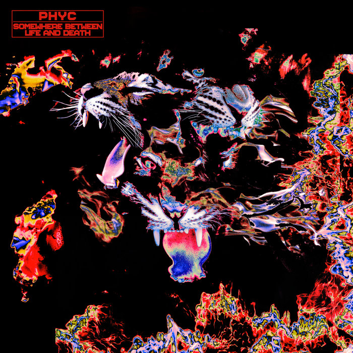 Somewhere between life and death | PHYC