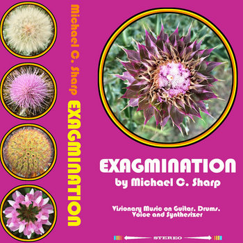 Music | Michael C. Sharp