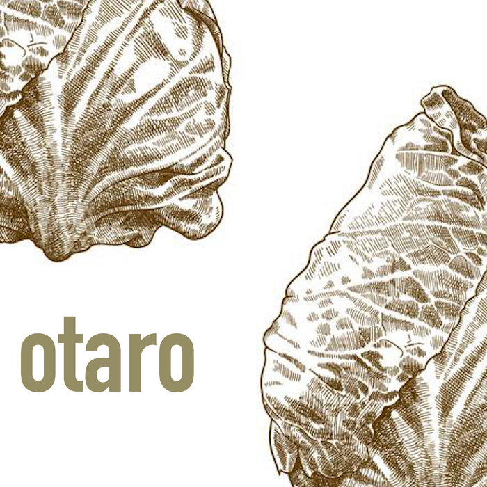 Spitzkraut | Otaro
