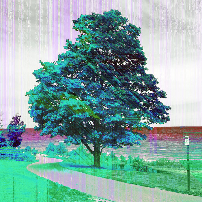 The Tree Watcher (live, 1981) | Michael Gordon