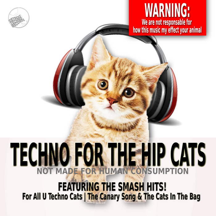 Techno For The Hip Cat | Music made for cats only | Detroit Techno Records