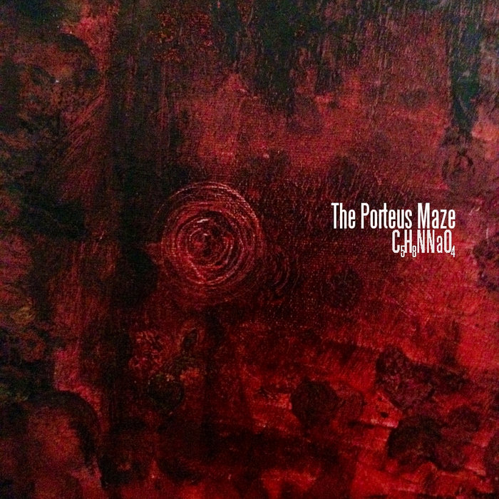 C5H8NO4Na | The Porteus Maze