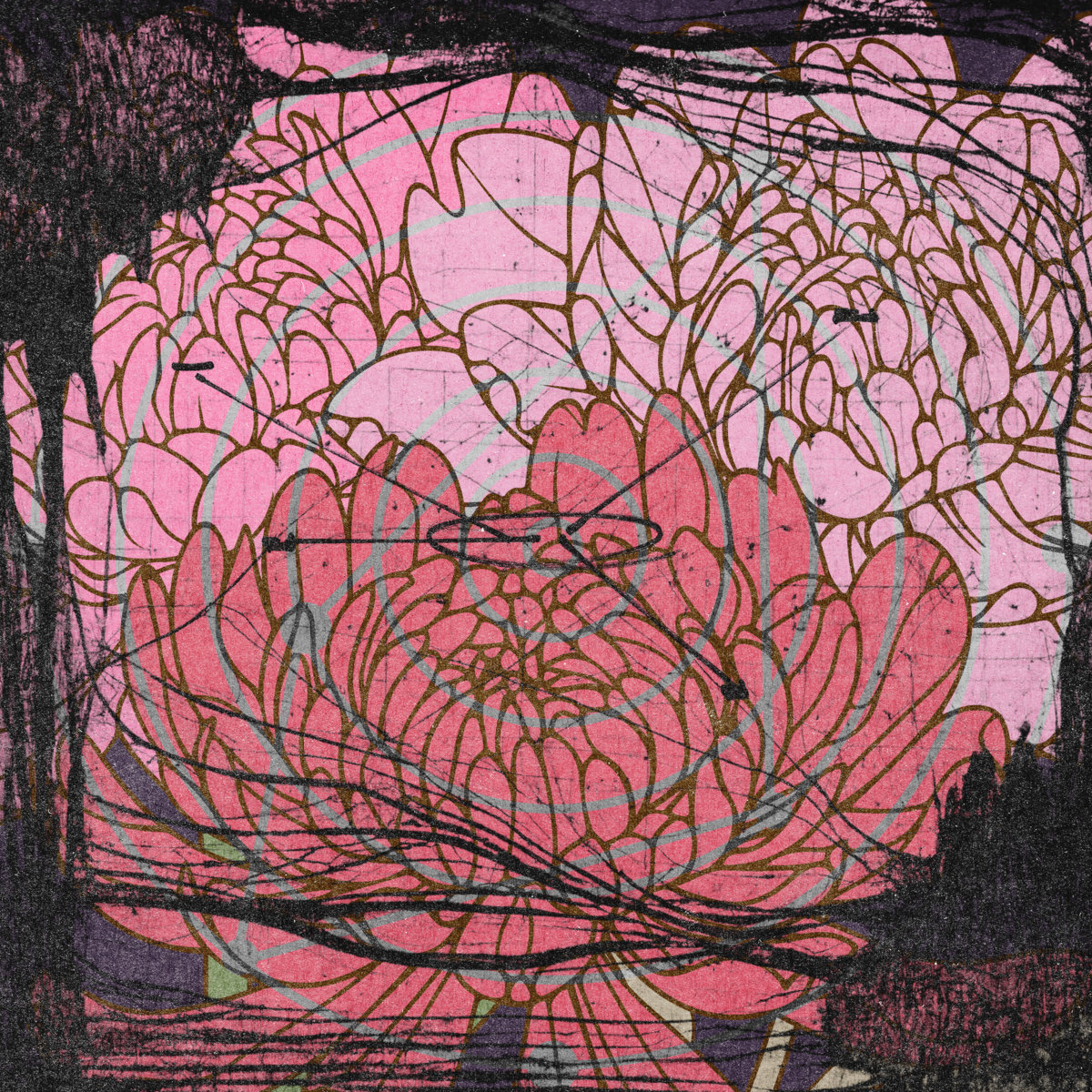 Triangulaciones | Iván Kali | Kalivan