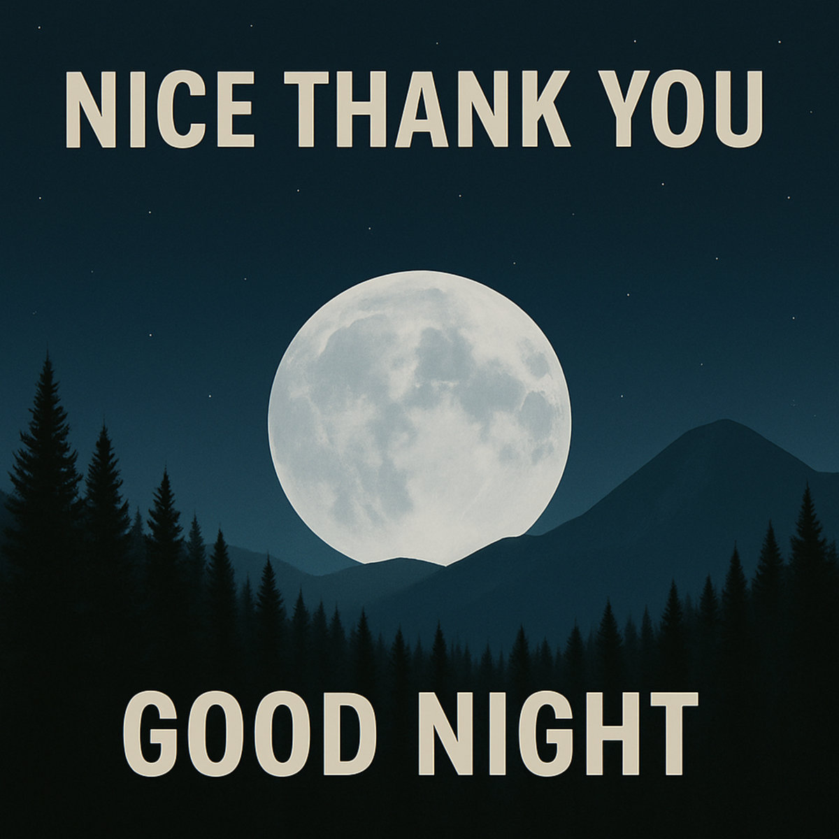 Good Night | Nice Thank You