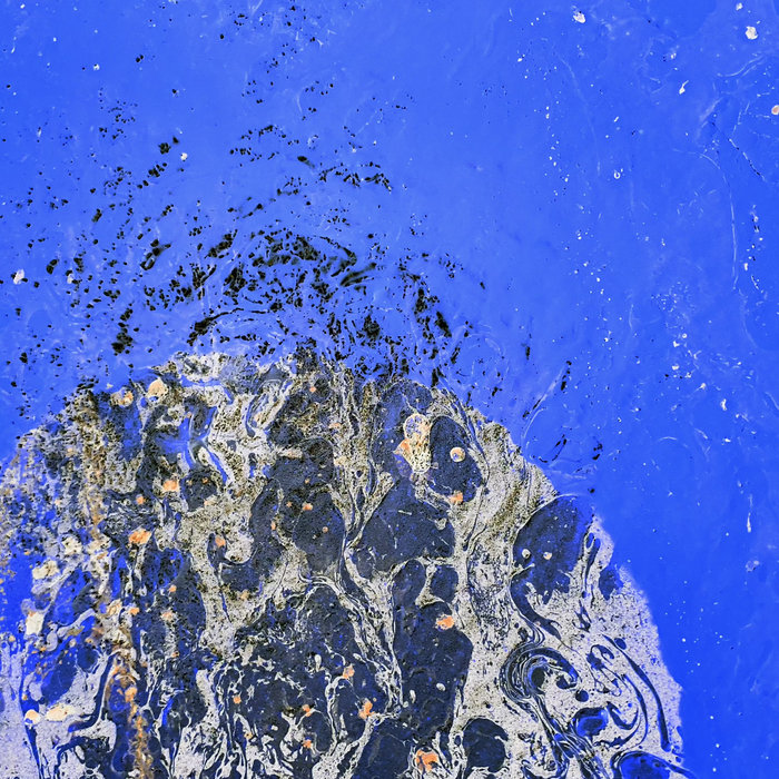 LFSS - 14 | Batbirds