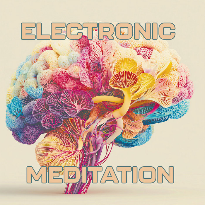 ELECTRONIC MEDITATION | ELECTRONIC MEDITATION | SENDELICA